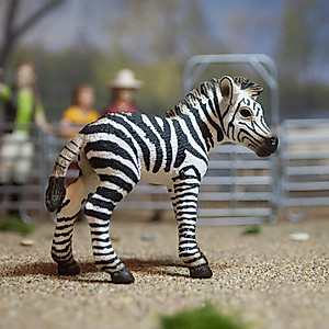 Gemini&Genius Zebras Toys, Wild Life Zoo Animal Figurines African Jungle Animal Action Figure Playset Gift for Kids Educational, Cake Toppers, Party Supplies, Animal Toy Set