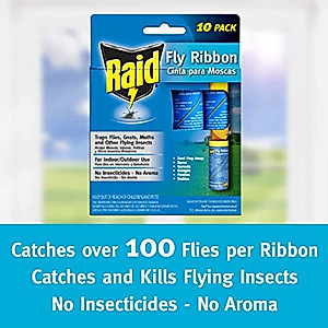 Raid Fly Ribbon, Fly Traps for Indoors and Outdoors, Bug Trap for Flying Insects, Pack of 10