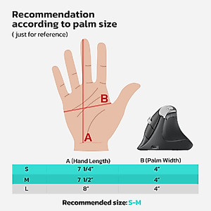 Wireless Vertical Mouse, Advanced Ergonomic Mouse Reduces Muscle Strain, 2400 DPI, USB C Rechargeable, 3 Device Connection (Bluetooth or USB), Compatible for PC, Laptop, iPad, Mac, Windows, Grey