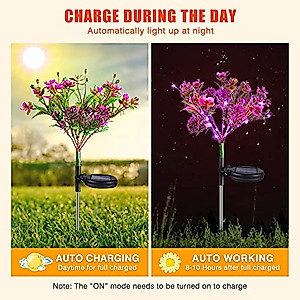 Neporal Solar Lights Outdoor Garden Decorative, 4 Pack Solar Powered Phalaenopsis Flower Lights Design, Solar Light Outdoor Waterproof IP65, Solar Garden Decorations - Gardening Gifts for Women