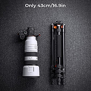 K&F Concept 68 inch /175cm Camera Tripods,Compact Travel Tripod with Monopod,10kg/22lbs Load Capacity 360° Panorama Ball Head Compatible with DSLR Cameras K255A4+BH-28L (TM2515M1)