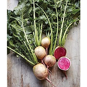 Burpee Watermelon Radish Seeds 300 seeds