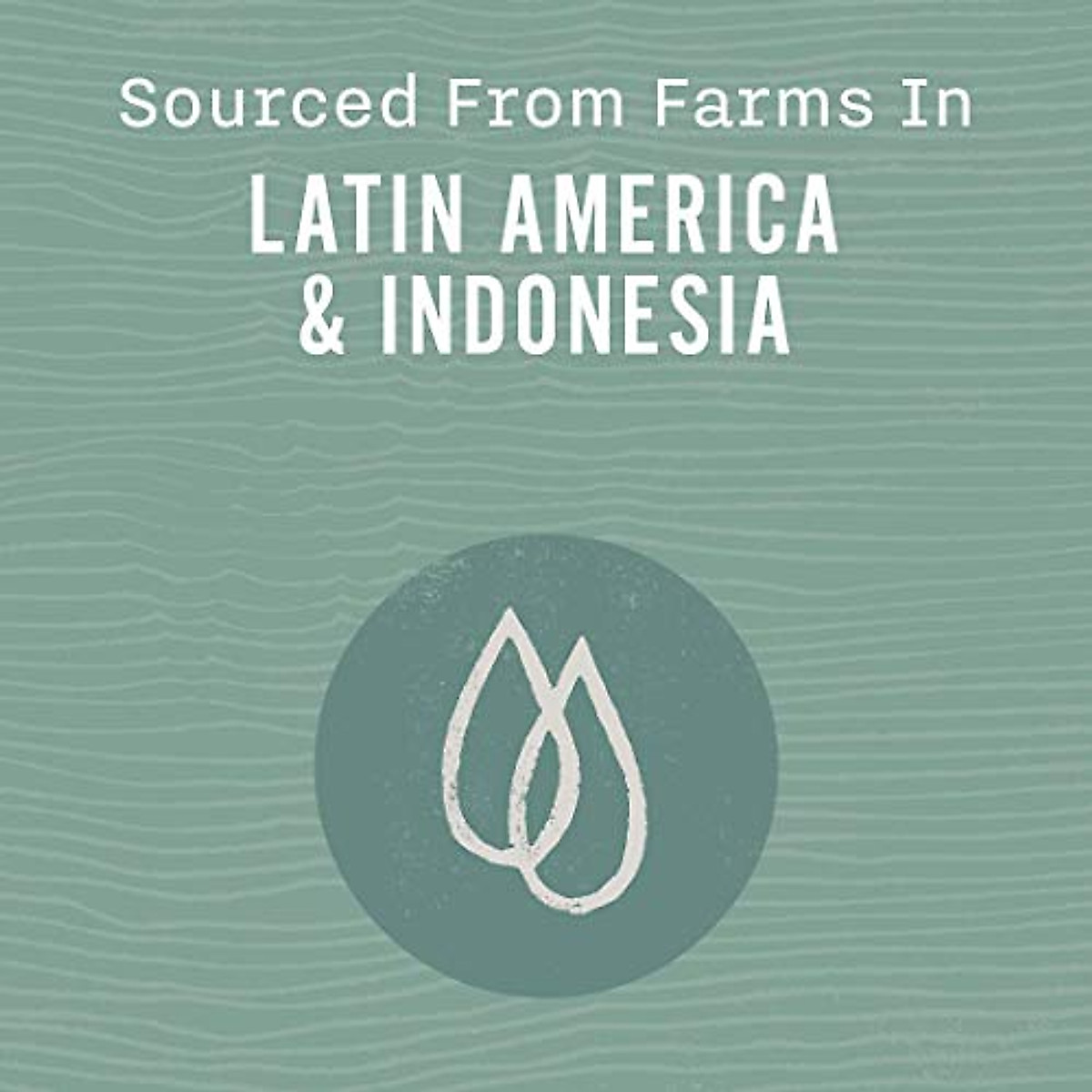 Allegro Coffee Organic Espresso Sierra Whole Bean Coffee, 12 oz