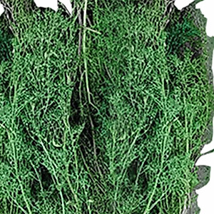 MYCENSE Model Trees Fake Trees Hobby Train Scenery Dioramas Scenery Decor Sand Table Model Material for 1/87 1/35 Scenery Landscape DIY Landscape, Green