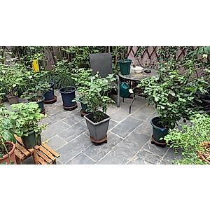 Amkoskr 2 Pack 15.5" Brown Plant Caddy with Easy Moving Caster Wheels Round Movable Planter Dolly Trolley Tray Pallet Outdoor Indoor Tree Flower Stand Planter