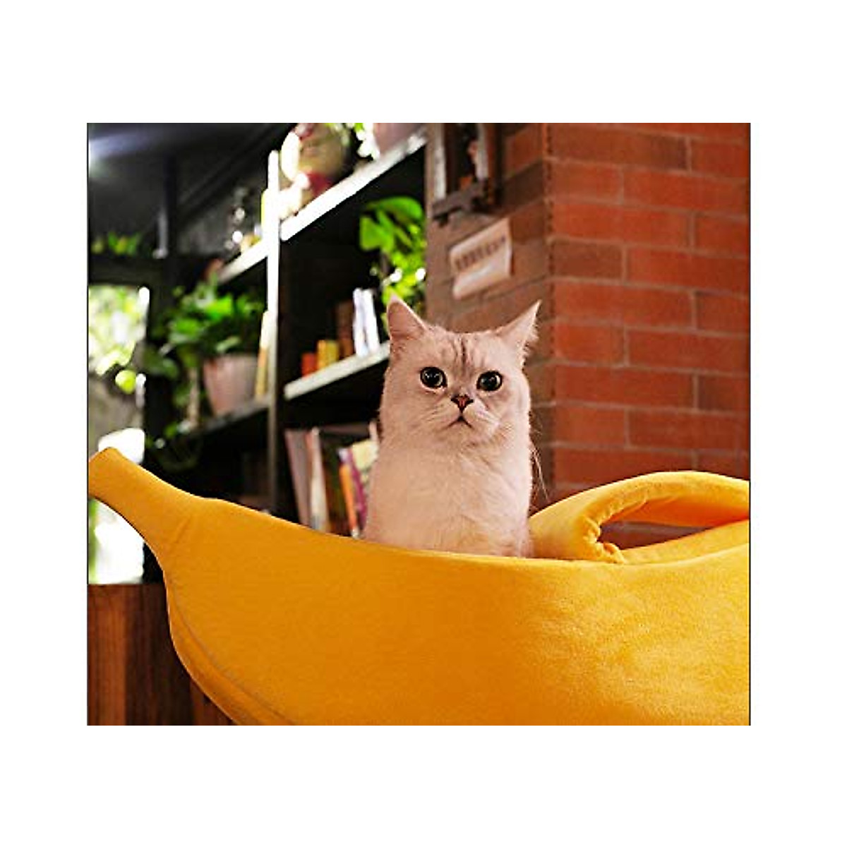· Petgrow · Cute Banana Cat Bed House Large Size, Christmas Pet Bed Soft Warm Cat Cuddle Bed, Lovely Pet Supplies for Cats Kittens Rabbit Small Dogs Bed,Yellow