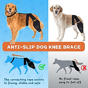 Pawfun Dog Knee Brace for Torn ACL Hind Leg, Dog Leg Brace for Large and Small Dogs with Hip Dysplasia, CCL, Ligament Injuries or Osteoarthritis, Both Back and Front Legs (Large)