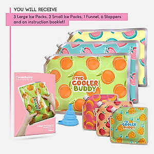 Magic Gel 6 x Ice Packs for Lunch Box and Lunch Coolers - [Long Lasting] Freezer Blocks (3 x Large, 3 x Small) Cold - [Reusable] and Great for Kids School Boxes, Picnics, Camping and More