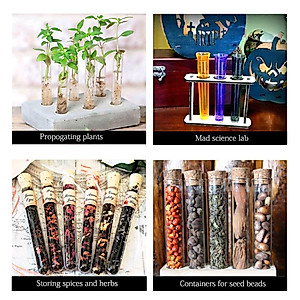 KINDPMA 20Pcs 18ml Clear Plastic Test Tubes 18x105mm with Cork Stoppers Tube Holder Candy Test Tubes for DIY Flowers Crafts Candy Bath Salts Storage Halloween Christmas Science Lab Wedding Party Favor