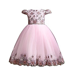 TENTIDE Baby Flower Grils Pink Dress Princess Pageant Rose Embroidery Layered Tulle Tutu Gown Dress 0-18M (Pink, 3-6 Months)