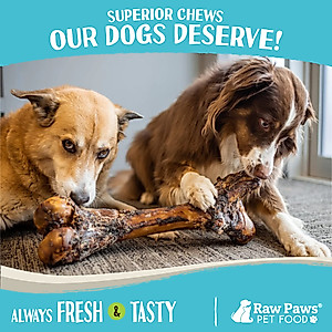 Raw Paws Monster Beef Femur Bones for Dogs, 14-inch, 1-ct - Packed in The USA - Smoked Dog Bones for Large Dogs, Natural Dog Bones for Aggressive Chewers, Giant Dog Bone, Huge Dog Bone