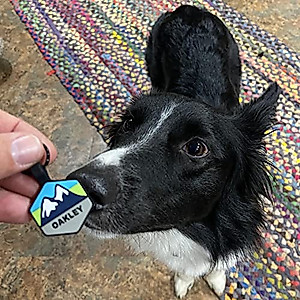 Silent Dog Tag Personalized with 5 Lines of Custom Deep Engraved Durable Soundless Silicone Pet ID Name Tag Hexagon Forest Day