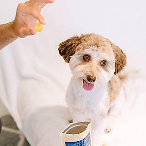 Redbone Nutrition Organic Hemp Multivitamin Treats - Peanut Butter Pumpkin Flavor Dog Treats for All Life Stages (400 mg) | Daily Multivitamin & Omega 3 & 6 & Olive Oil Treats | Organic Dog Treats