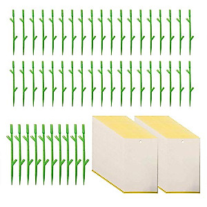 Fly Fruit Indoor Sticky Gnat Stakes Trap 50PCS Patio & Garden 2 Way Glue Broad