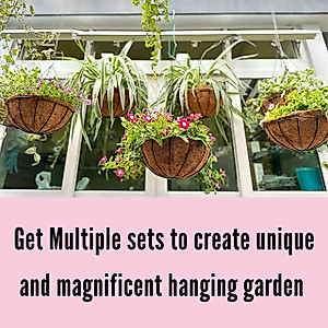 LaLaGreen Hanging Baskets for Plants (3 Pack, 10 Inch) Hanging Planter Outdoor with Coco Liner, Metal Wire Flower Basket Pots Holder Hanger Hook Deck Patio Porch Garden Balcony Outside Decoration