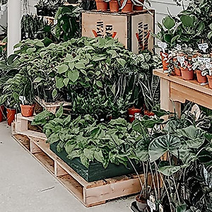 Raised Garden Planter Fabric Bed, 9 Divided Grids Durable Square Planting Grow Pot, Plant Grow Bags for Outdoor Carrot Onion Herb Flower Vegetable Plants