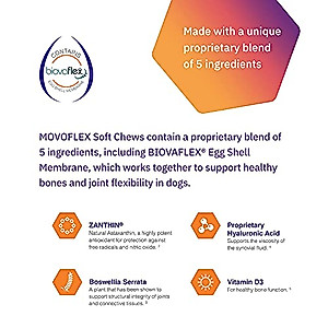 MOVOFLEX Joint Support Soft Chews for Small Dogs (60 Count) | Veterinarian Formulated, Gluten-Free