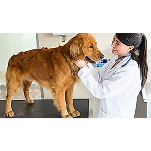 I LOVE MY PETS LLC Dog Eye Supplement - Dog Eye Health Complex - Premium Formula - Vet Recommended - Dog Lutein - 1 Bottle (60 Treats)