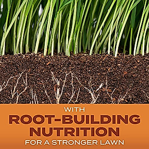 Scotts Turf Builder Grass Seed Bermudagrass Drought-Tolerant to Stand up to Scorching Heat with Root-Building Nutrition, 1 lb.