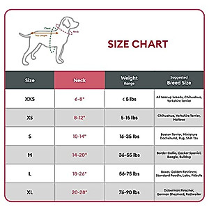 KONG Ultra Durable Padded Comfort Handle Dog Collar (Medium, Red)