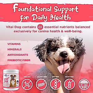 Vital Planet - Vital Dog Multi Vitamin Powder Supplement for Everyday Health with Vitamins, Minerals and Antioxidants for Dogs - Beef Flavored Powder, 30 Servings, 75 Grams