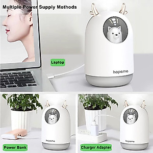 HOPEME Cool Mist USB Humidifier with Adjustable Mist Mode, 300ml Water Tank Lasts Up to 10 Hours, 7 Color LED Lights Changing, Waterless Auto Shut-off for Bedroom, Home, Office (White)…