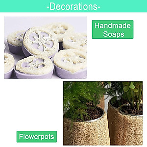 FRTIM Natural Loofah Sponge Shower Organic Luffa Bath Loofa Exfoliating Body Scrubber Loofah for Men Women Adults Back Face Body Skin SPA Care - 6 Pieces