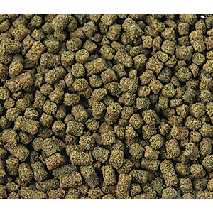 Josh's Frogs Dart Frog Tadpole Food (2 oz)