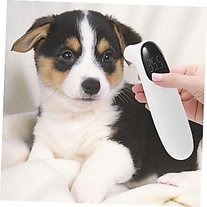 1 Set Pet Thermometer Small Animal Thermometer Cat Thermometer Pet Screen Thermometer Dog Thermometer Pig Thermometer Digital Thermometer Pet Ear Thermometer Dogs Cats Thermometer