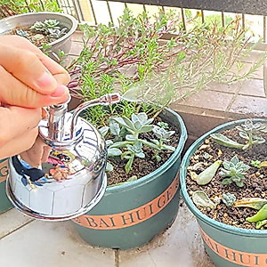 Brass Silver Spray Lianshi can Plant Spay Bottle Inner Flower Spray Mister 300ml/10.56 oz 1pcs/Lot