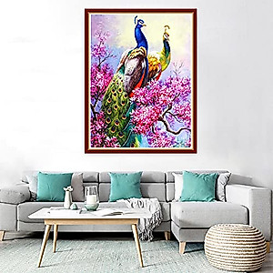 Dimensean Cross Stitch Kits Stamped Full Range of Embroidery Starter Kits for Beginners DIY 11CT Cross Stitches Needlepoint Kits-Peacock 15.7x19.7 inch