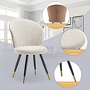 ALISH Dining Chairs, Modern Dining Chairs Set of 2, Uphosltered Dining Room Chairs Kitchen Chairs Desk Chairs Armless Side Chairs Beige