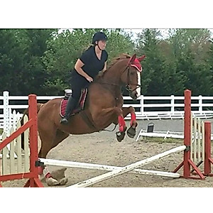 Lift Sports New Horse English Saddle Pad Set Matching Fly Bonnet Veil Ear Net Polyester Hand Made Crochet Full Size Equestrian Shows Tack