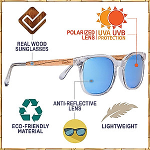 Woodies Clear Acetate Frame and Colored TAC Lenses Sunglasses | FREE Wooden Gift Box | 100% UVA/UVB Ray Protection (Light Blue)