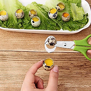 Calary 3Pcs Quail Egg Cutter Scissors Kitchen Egg Shears Tool (Green)