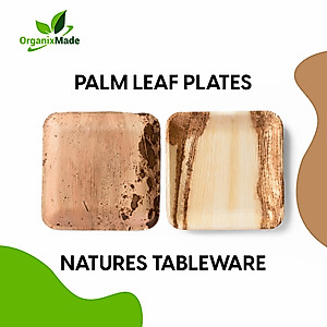 Organix Made - Disposable Palm Leaf Bamboo Plates, 6 Inch Square (50 Plates) - Appetizer and Dessert Dinnerware Plates - Biodegradable, Compostable, & Eco-Friendly Plates - Light & Sturdy