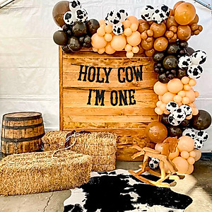 Holy Cow I'm One Banner Farm Themed 1st Birthday Party Decoration for Western Cowboy and Cowgirl First Rodeo Birthday Decorations