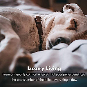 Friends Forever XX-Large Dog Bed, Orthopedic Dog Sofa Memory Foam Mattress, Calming Dog Couch Bed, Wall Rim Pillow, Water Resistant Liner, Washable Cover, Non-Slip Bottom, Chester, XX-Large Grey