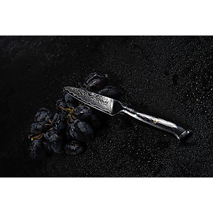 Oxford CHEF Paring Knife- 3.5 Inch - Damascus Japanese- VG10 Super Steel 67 Layer High Carbon Stainless Steel- Razor Sharp, Stain & Corrosion Resistant, Awesome Edge Retention