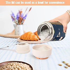 CUPADA Creative Cat Lovers Food Jar, Rose Dating Insulated Hot Food Jars Vacuum 17OZ with Folding Spoon for Work Trip Picnic Camping