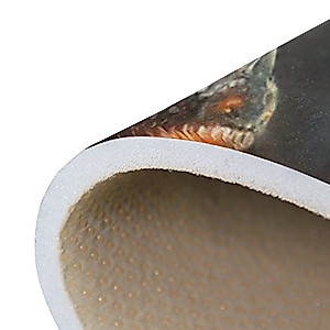 SAVSV 3' x 2' Area Rug Carpet Doormat Lightweight Printed Knight Fighting Dragon Easy to Clean for Living Room Bedroom