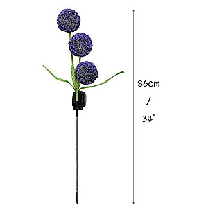 Solar Powered Dandelion Solar LED Lights Outdoor Waterproof LED Lamps for Garden Backyard Lawn Landscape Decoration Illumination (Purple)