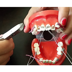 BELEON Braces Wire Orthodontic Dental Ligature Wire for Braces for Home Use Stainless Steel 40g 0.25mm