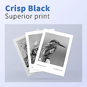 myCartridge PHOEVER Remanufactured Ink Cartridge Replacement for Epson 302XL 302 XL T302XL Ink for Expression XP-6000 XP-6100 Printer (Black, Photo Black, Cyan, Magenta, Yellow, 5-Pack)