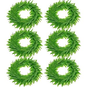 WILLBOND 6 Pieces Tropical Fern Leaf Headband Hawaiian Tropical Leis Headband Knitted Fabric Toga Headwear Leaf Crown