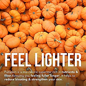 DALAMHARI Pumpkin Tea Slim Fast | 30T | Skinny Fit Detox Tea 3 Ballerina Tea Decaf Tea Bags Smooth Move Tea Flat Tummy Tea Super Dieters Tea Beat The Bloat Unbloat Chupa Panza Tea Pumpkin Puree Fit Tea