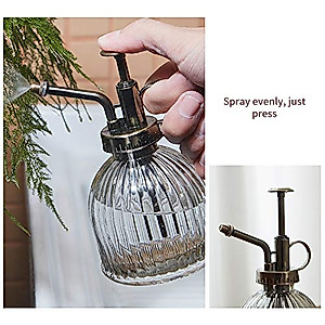 Hovico Glass Plant Mister Spray Bottle, 6.5 Inches Tall Vintage Style Spritzer, Bronze Plastic Top Pump, Watering Glass Spary Bottle Plant Mister Glass Watering Garden Tool(Clear)