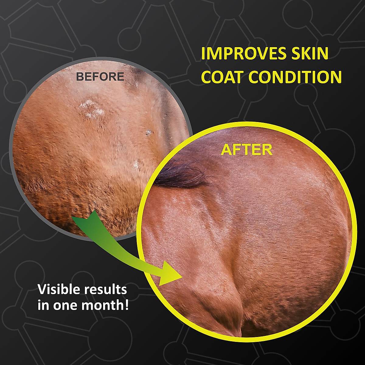 GastroMend XC, 100% Natural Equine Stomach Health for Horses, Promotes Healing & Prevention of Gastric Ulcers, Highly Potent & Effective, Supports Gastric and Hindgut Health, 30 Servings, Made in USA