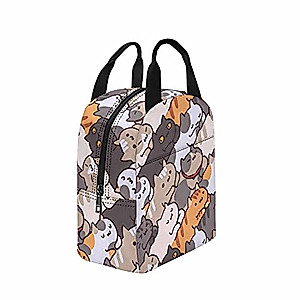 DIYKST Insulated Lunch Bag With Pockets Personalized Lazy Cat Printed on Lunch Cooler Bag For Women Men Boy Girl School Office Work Picnic