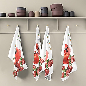 Summer Tropical Strawberries Kitchen Towel Set Cardinal Birds Dish Towel Set of 1 Tea Towels Large 28''x18'' Multi-Purpose Washing Cloth Home Decorative Lint-Free Dishcloths for Restaurant Household